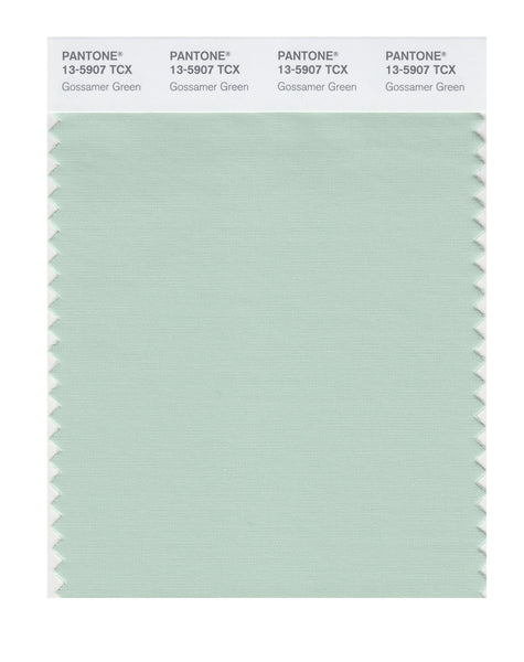 Pantone SMART Color Swatch Card 13-5907 TCX Gossamer Green - Columbia Omni Studio