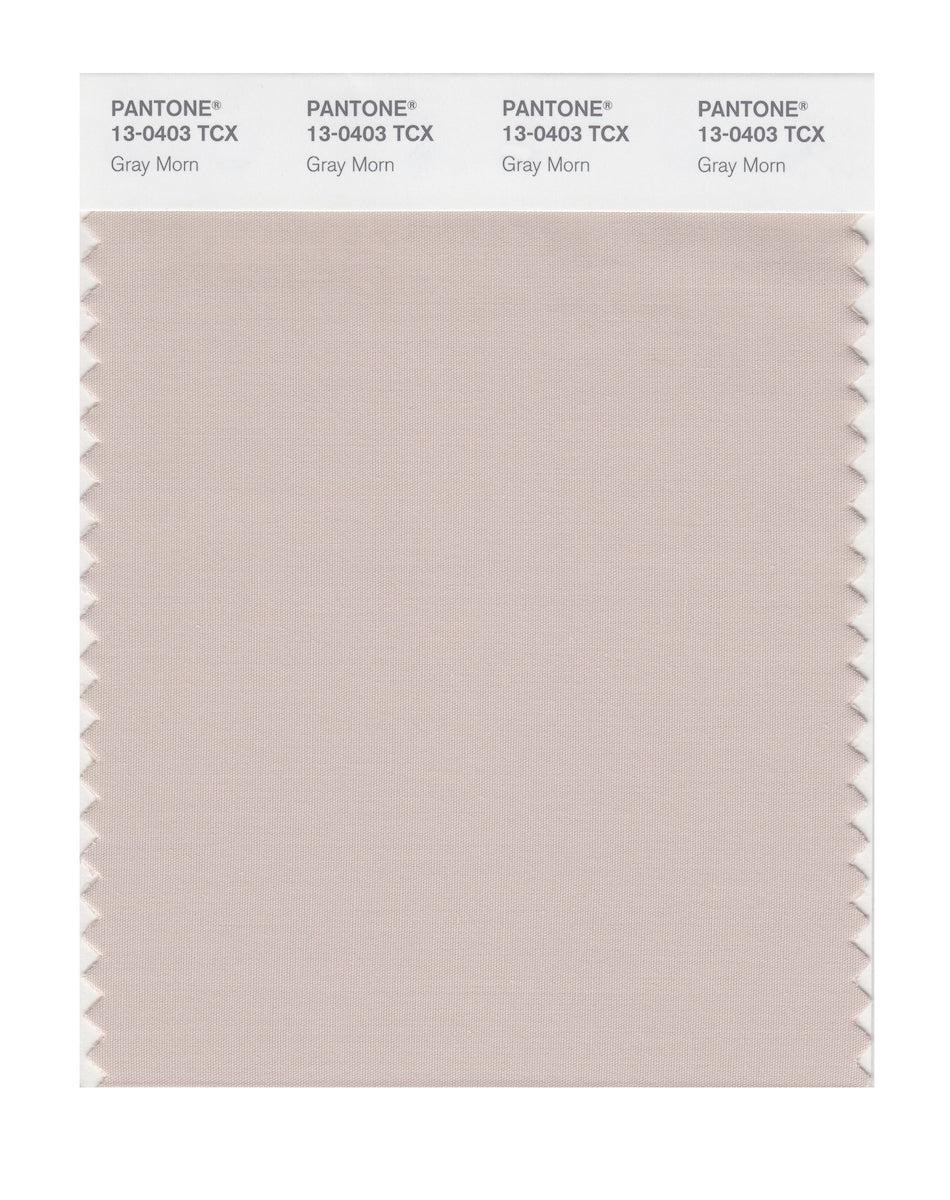 Pantone SMART Color Swatch Card 13-0403 TCX Gray Morn - Columbia Omni ...