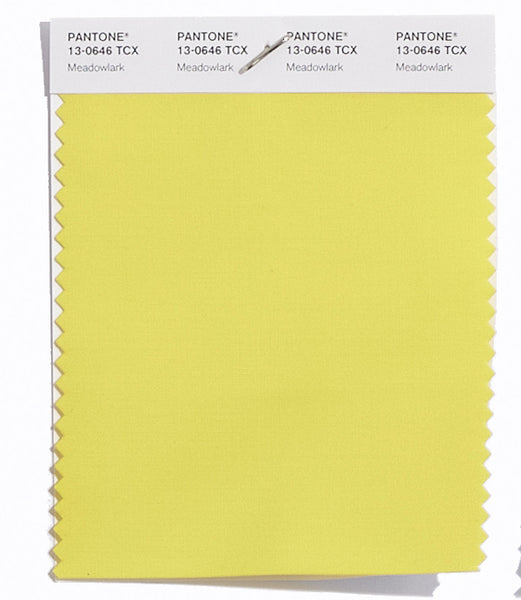 Pantone SMART Color Swatch Card 13-0646 TCX Meadowlark - Columbia Omni ...