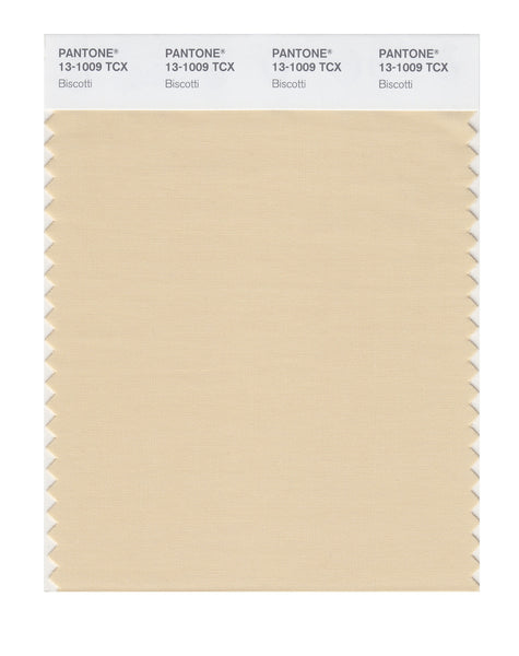 Pantone SMART Color Swatch Card 13-1009 TCX Biscotti - Columbia Omni Studio