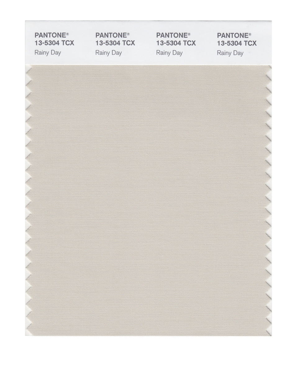 Pantone SMART Color Swatch Card 13-5304 TCX Rainy Day - Columbia Omni ...