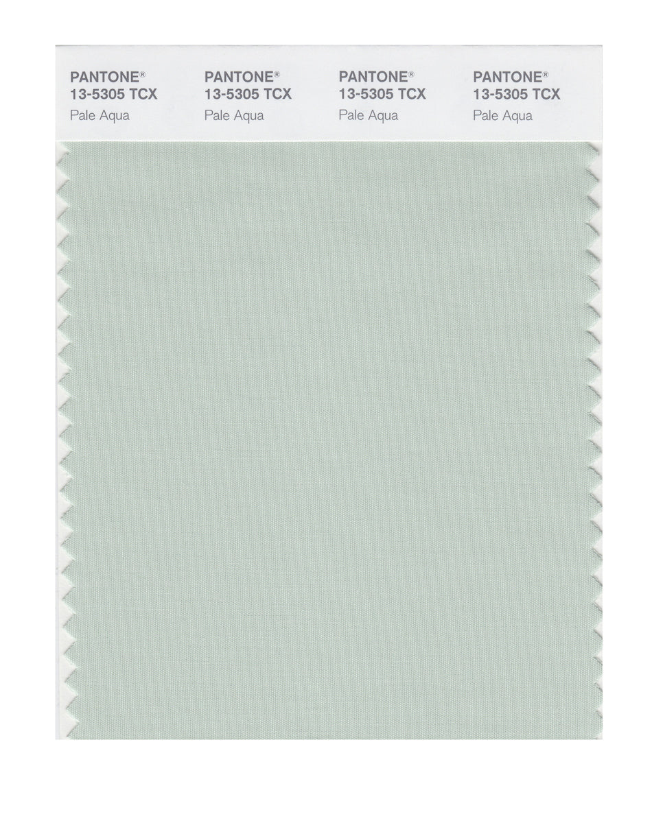 Pantone SMART Color Swatch Card 13-5305 TCX Pale Aqua - Columbia Omni ...