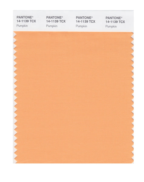 Pantone SMART Color Swatch Card 14-1139 TCX Pumpkin - Columbia Omni Studio