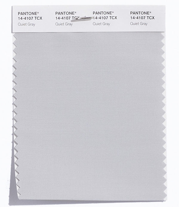 Pantone SMART Color Swatch Card 14-4107 TCX Quiet Gray - Columbia Omni ...