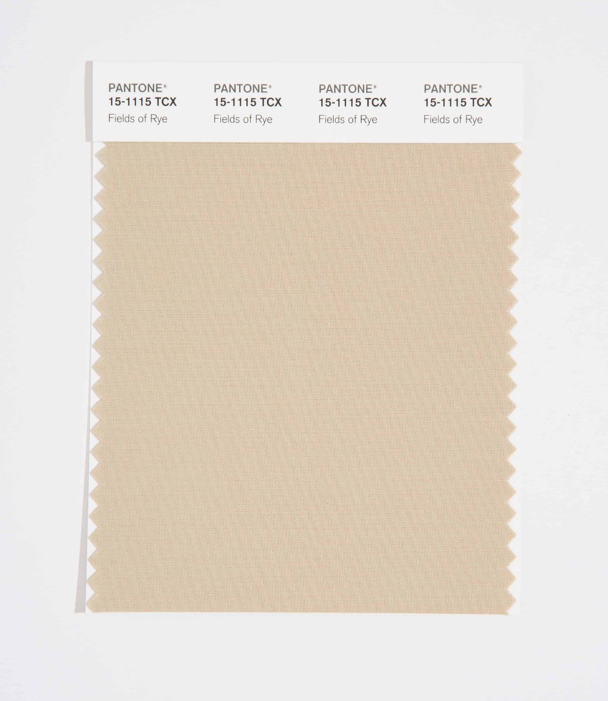 Pantone SMART Color Swatch Card 15-1115 TCX Fields of Rye - Columbia ...