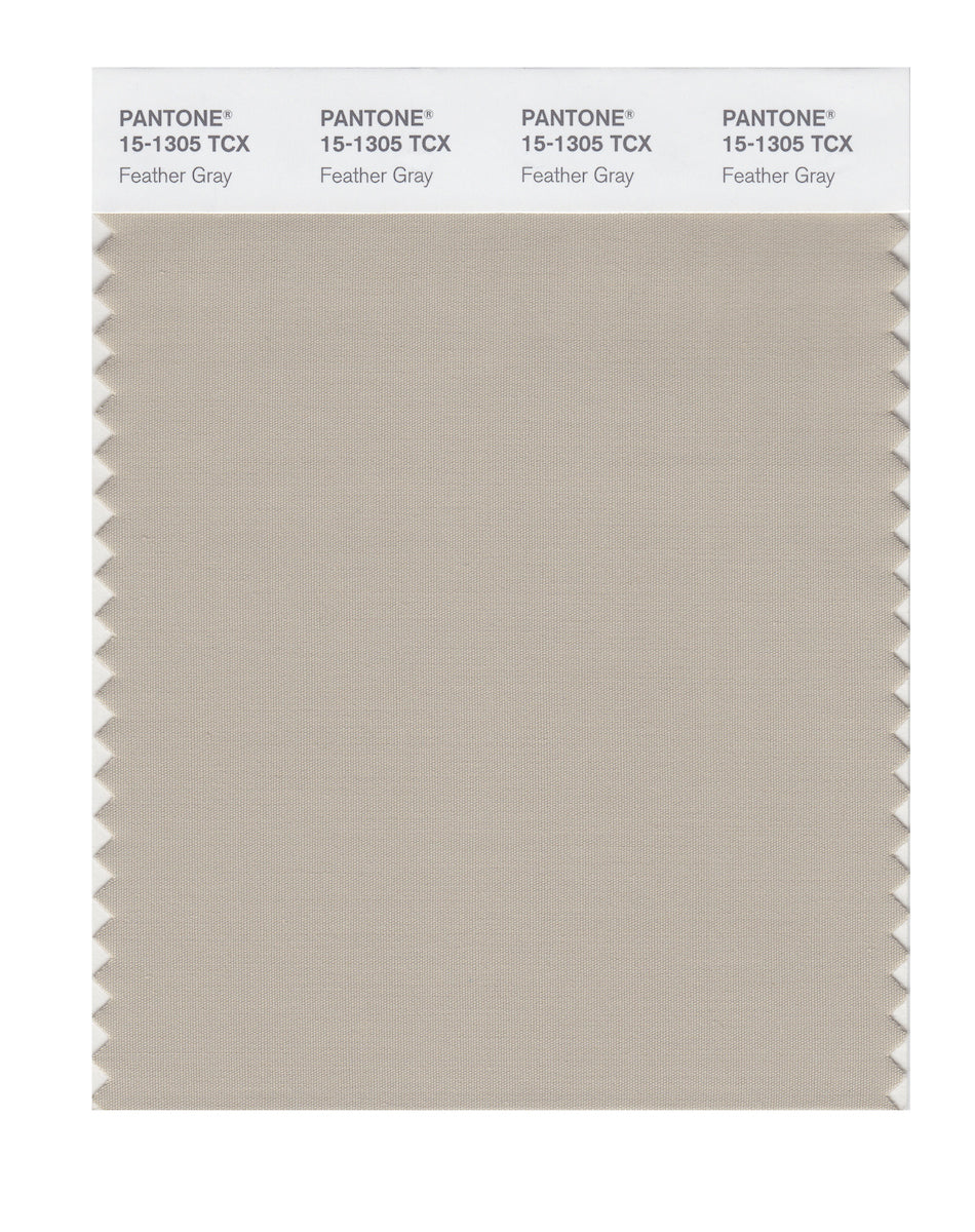 Pantone SMART Color Swatch Card 15-1305 TCX Feather Gray - Columbia ...