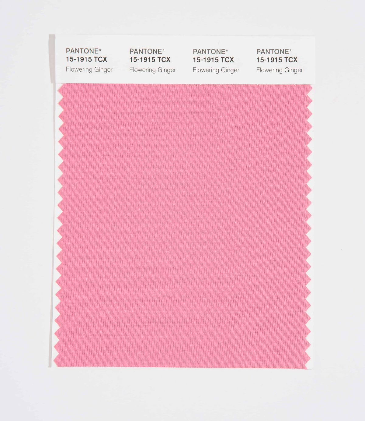 Pantone SMART Color Swatch Card 15-1915 TCX Flowering Ginger - Columbia ...