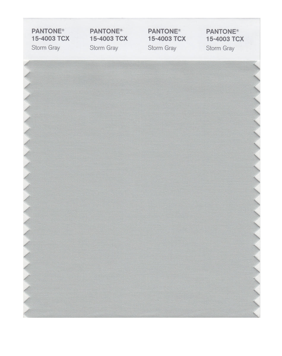 Pantone SMART Color Swatch Card 15-4003 TCX Storm Gray - Columbia Omni ...