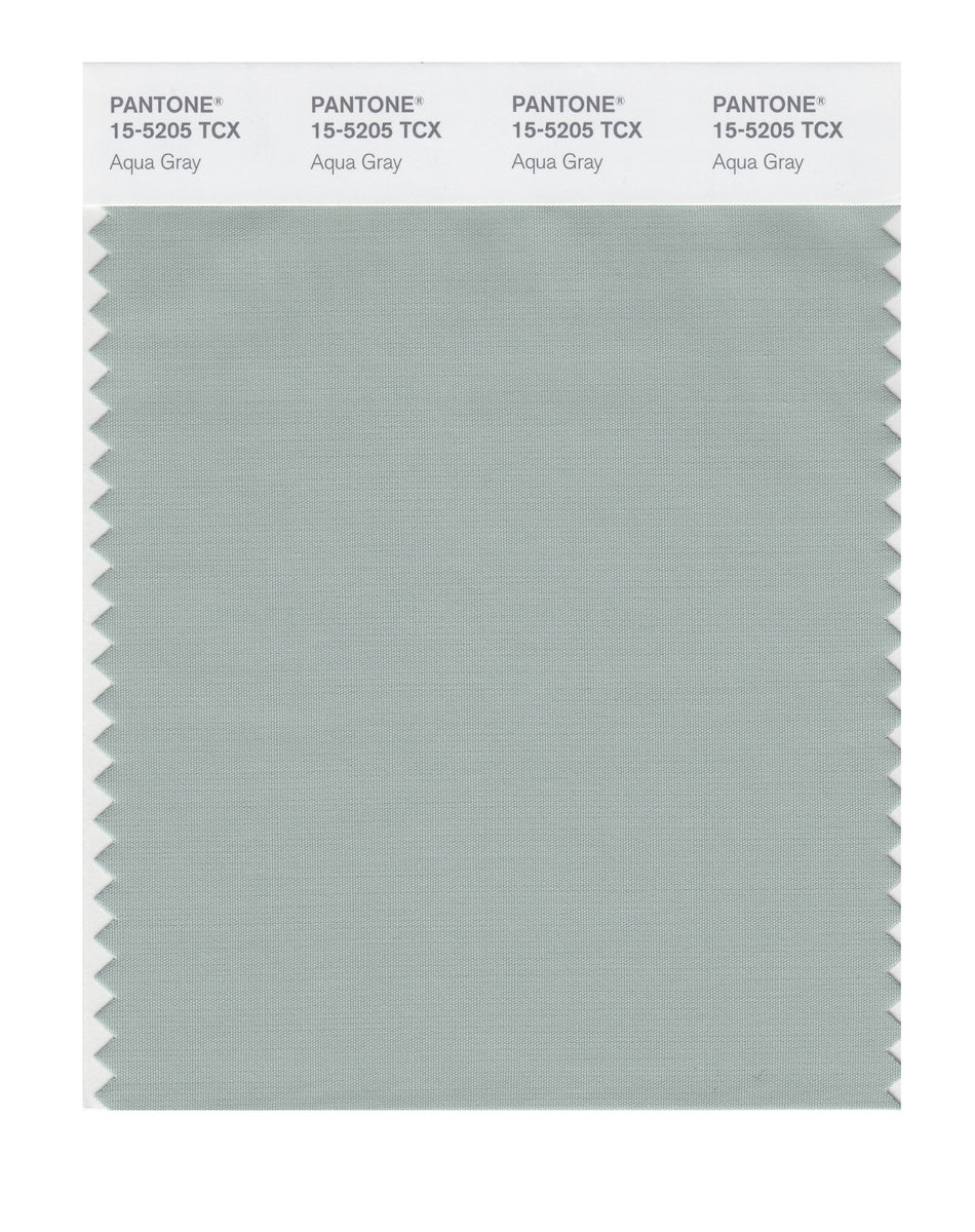 Pantone SMART Color Swatch Card 15-5205 TCX Aqua Gray - Columbia Omni ...
