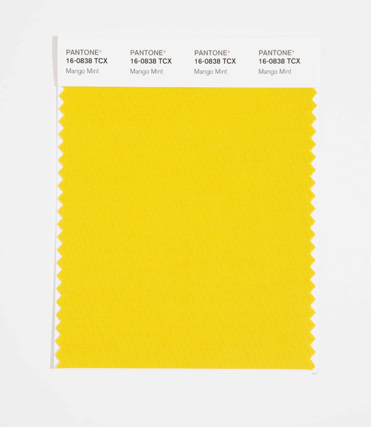 Pantone SMART Color Swatch Card 16-0838 TCX Mango Mint - Columbia Omni ...