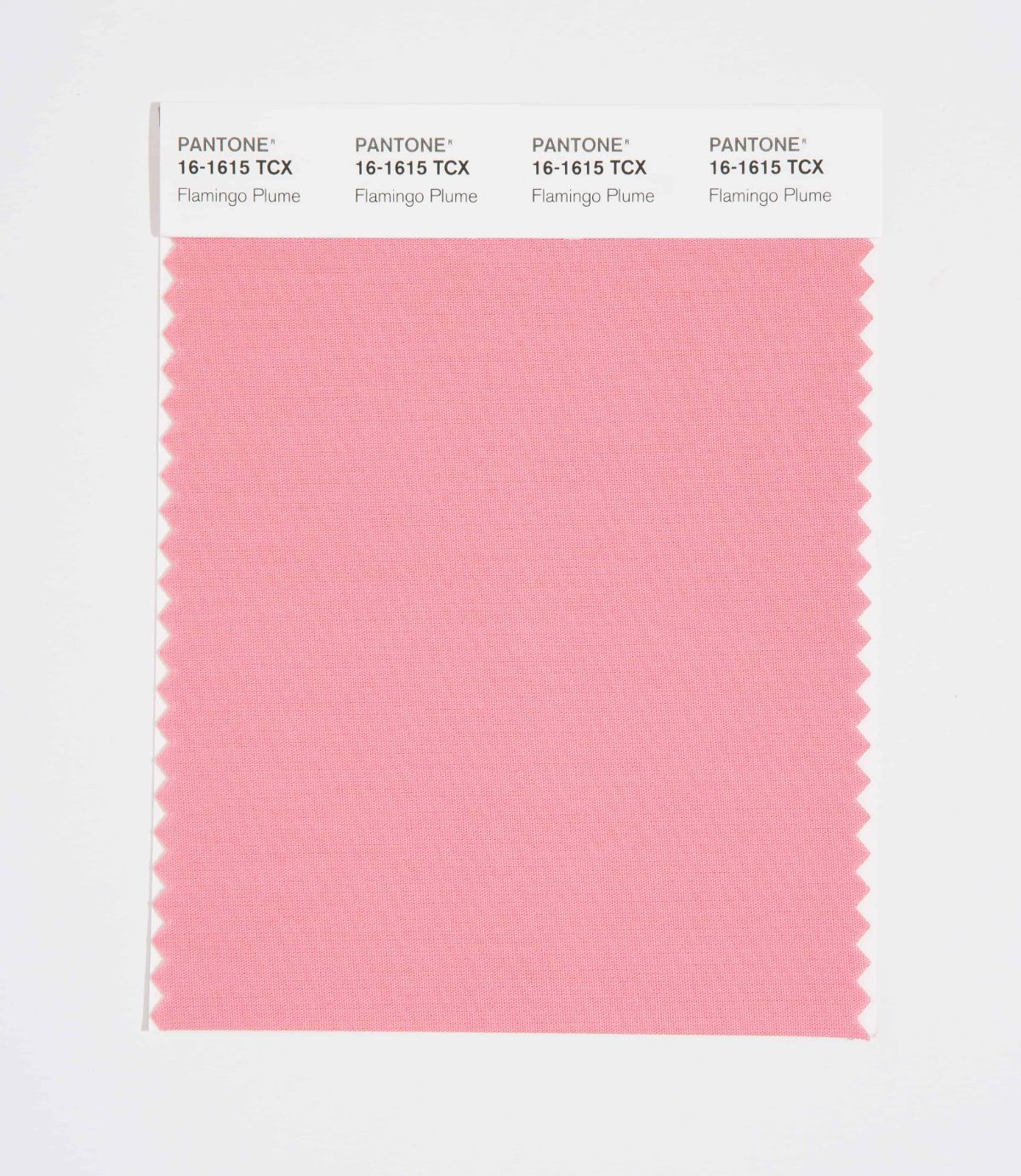 Pantone SMART Color Swatch Card 16-1615 TCX Flamingo Plume - Columbia ...