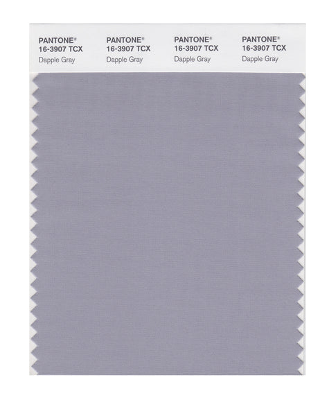 Pantone SMART Color Swatch Card 16-3907 TCX Dapple Gray - Columbia Omni ...