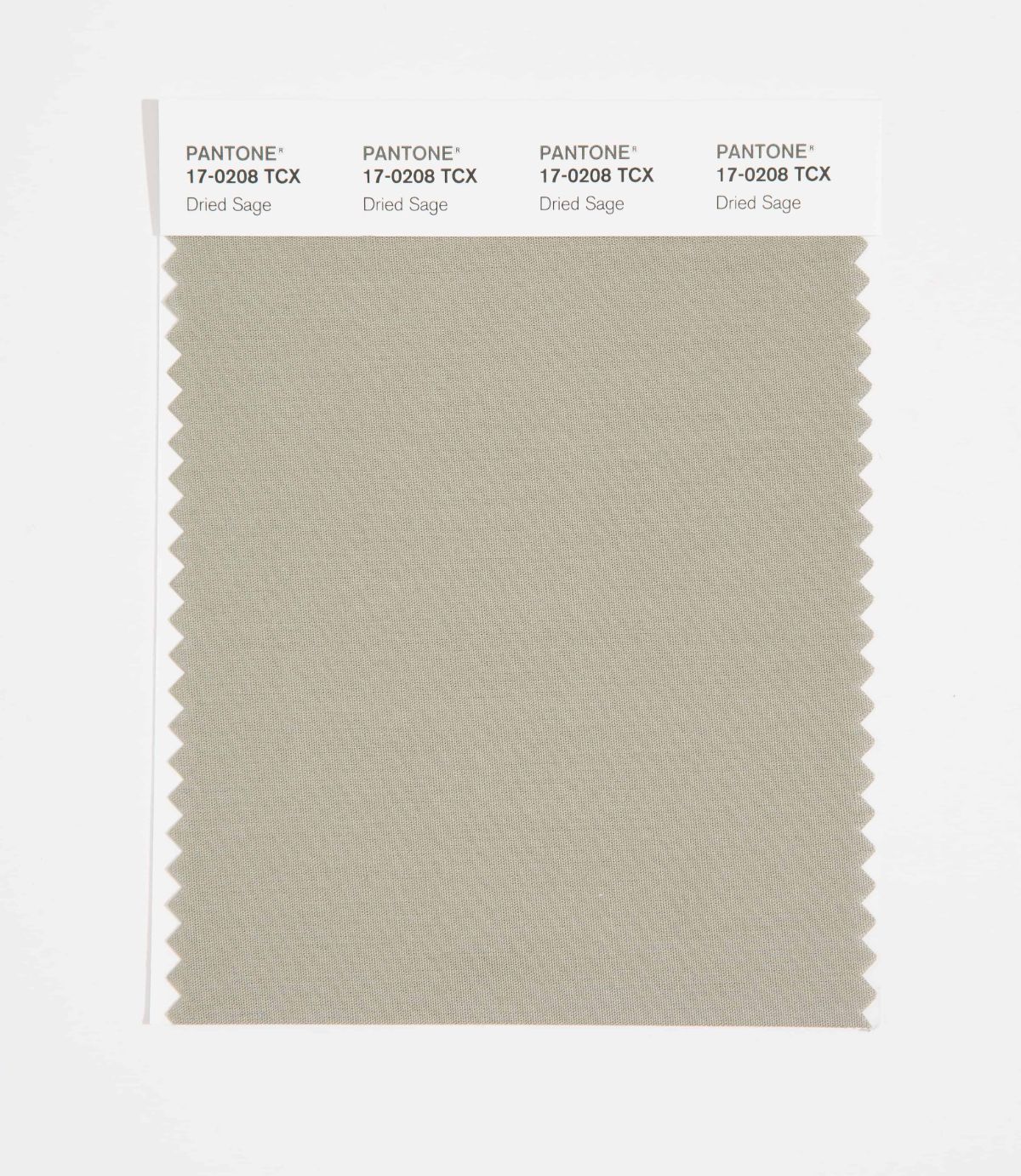 Pantone SMART Color Swatch Card 17-0208 TCX Dried Sage - Columbia Omni ...