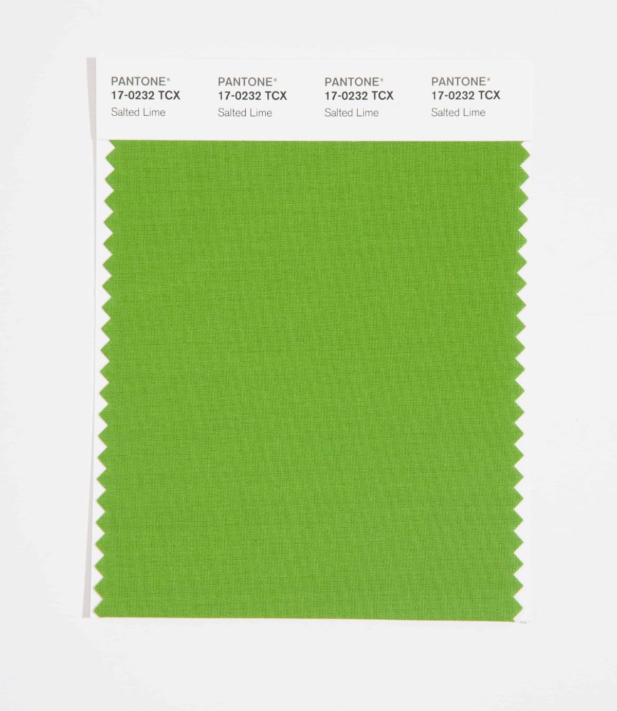 Pantone SMART Color Swatch Card 17-0232 TCX Salted Lime - Columbia Omni ...