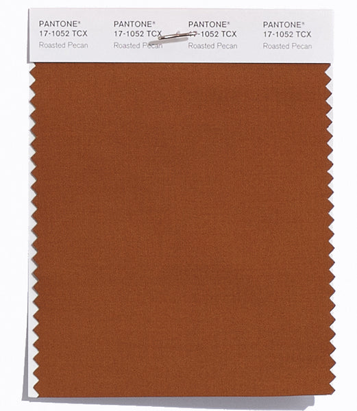 Pantone SMART Color Swatch Card 17-1052 TCX Roasted Pecan - Columbia ...
