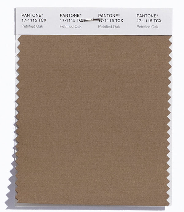 Pantone SMART Color Swatch Card 17-1115 TCX Petrified Oak - Columbia ...