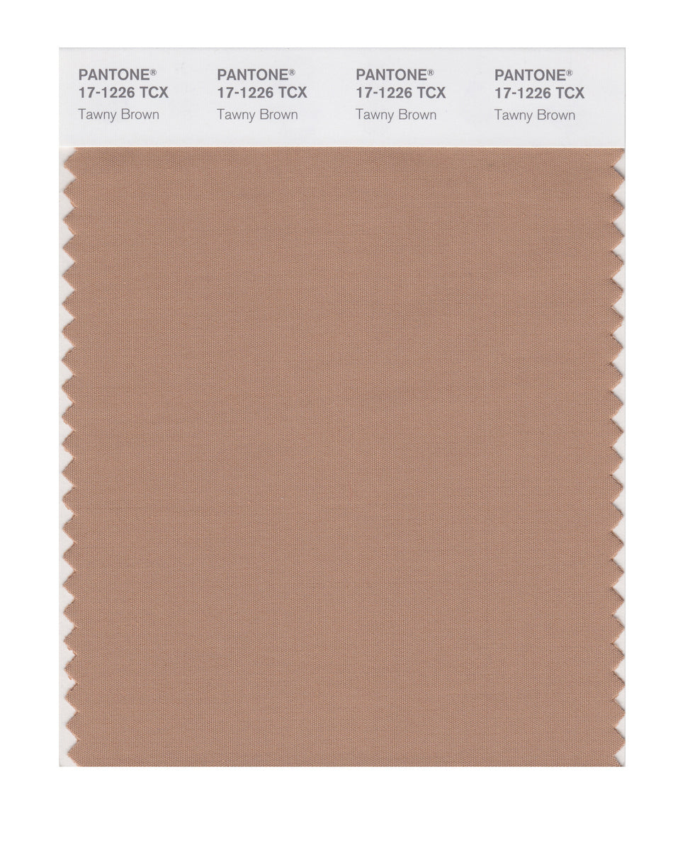 Pantone SMART Color Swatch Card 17-1226 TCX Tawny Brown - Columbia Omni ...