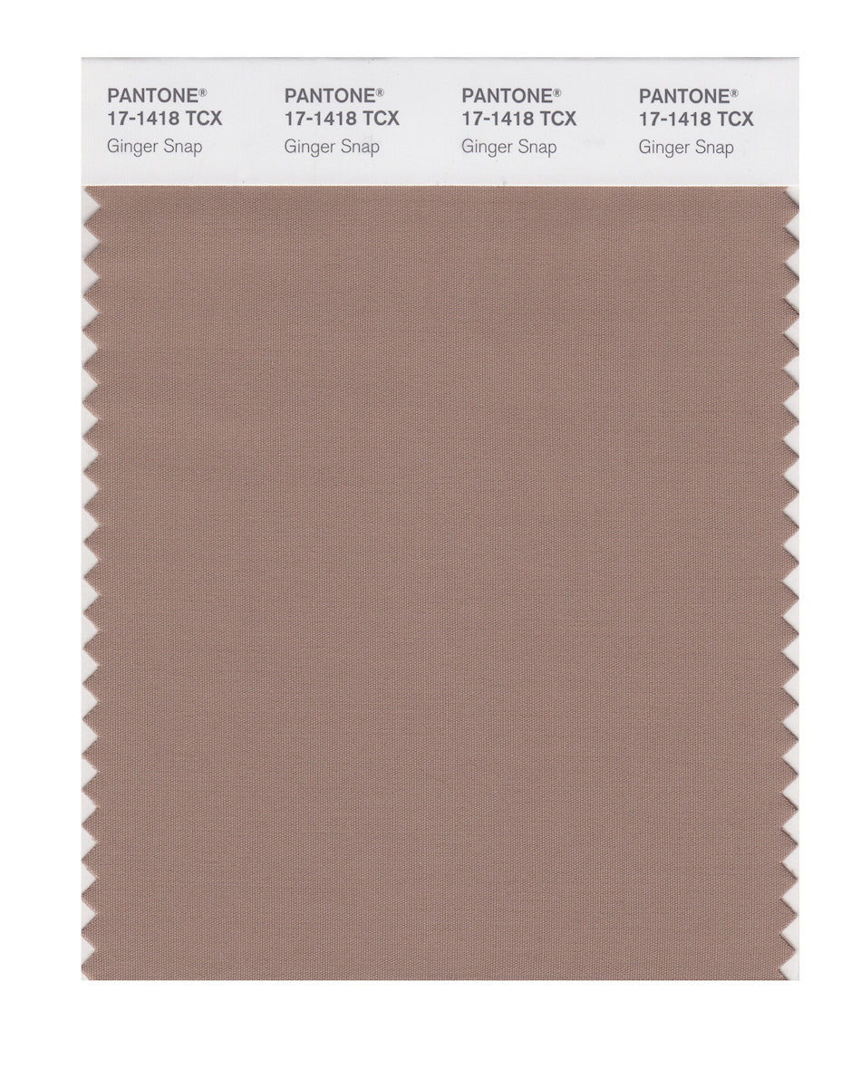 Pantone SMART Color Swatch Card 17-1418 TCX Ginger Snap - Columbia Omni ...
