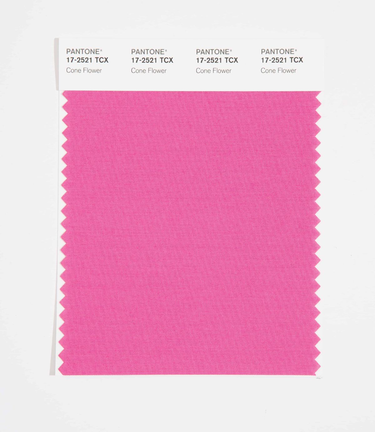 Pantone SMART Color Swatch Card 17-2521 TCX Cone Flower - Columbia Omni ...