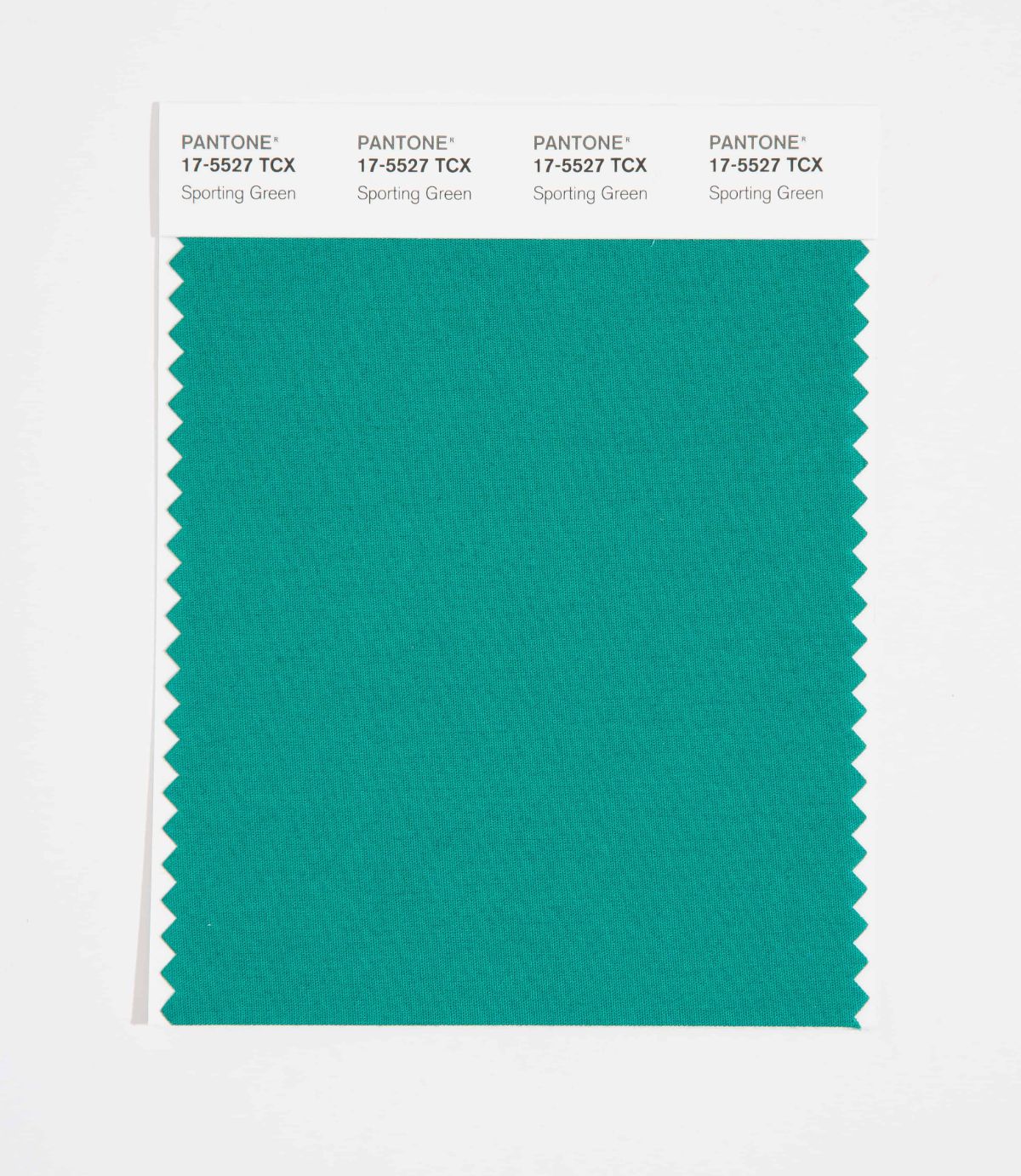 Pantone SMART Color Swatch Card 17-5527 TCX Sporting Green - Columbia ...