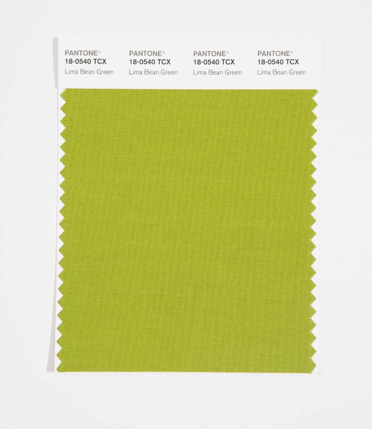 Pantone SMART Color Swatch Card 18-0540 TCX Lima Bean Green - Columbia ...