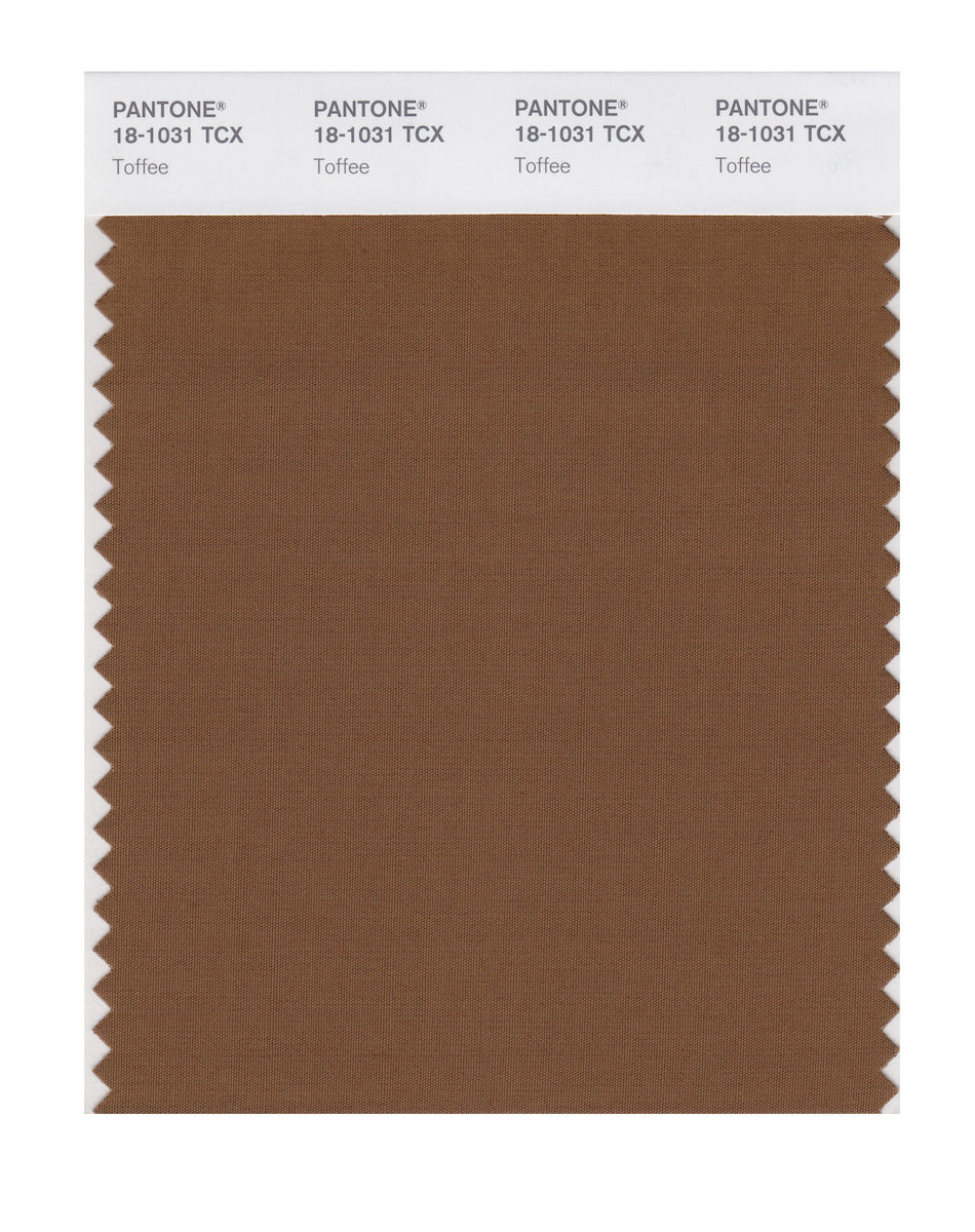 Pantone SMART Color Swatch Card 18-1031 TCX Toffee - Columbia Omni Studio