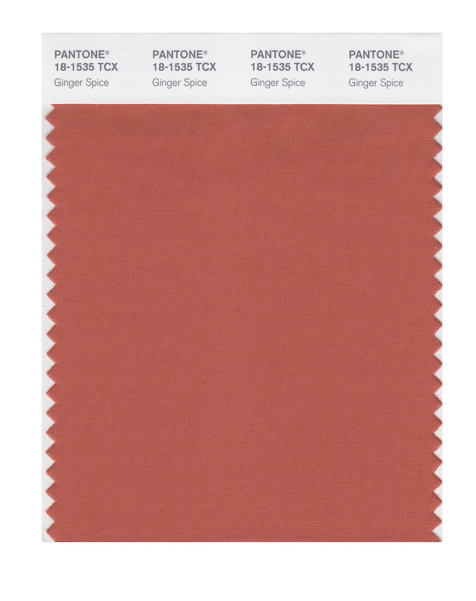 Pantone SMART Color Swatch Card 18-1535 TCX Ginger Spice - Columbia ...