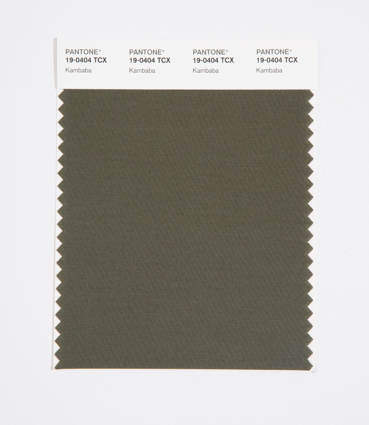 Pantone SMART Color Swatch Card 19-0404 TCX Kambaba - Columbia Omni Studio