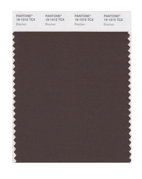Pantone SMART Color Swatch Card 19-1015 TCX Bracken - Columbia Omni Studio