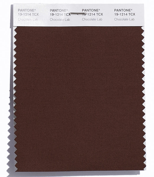 Pantone SMART Color Swatch Card 19-1214 TCX Chocolate Lab - Columbia ...
