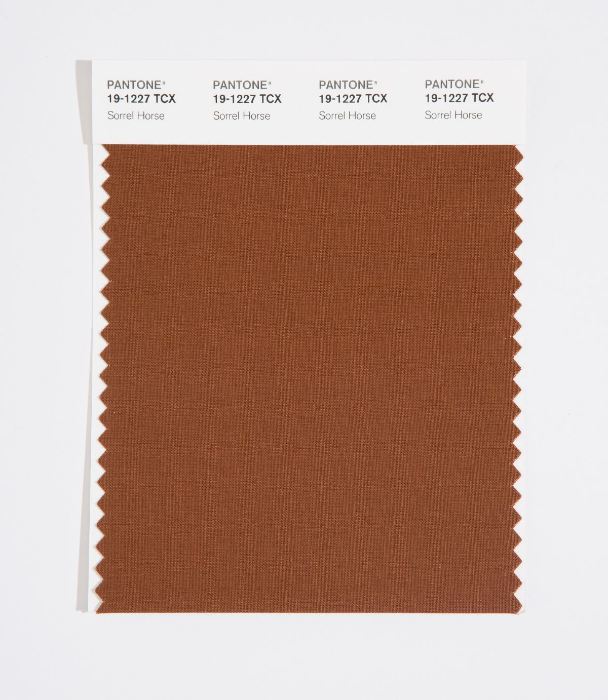 Pantone SMART Color Swatch Card 19-1227 TCX Sorrel Horse - Columbia ...