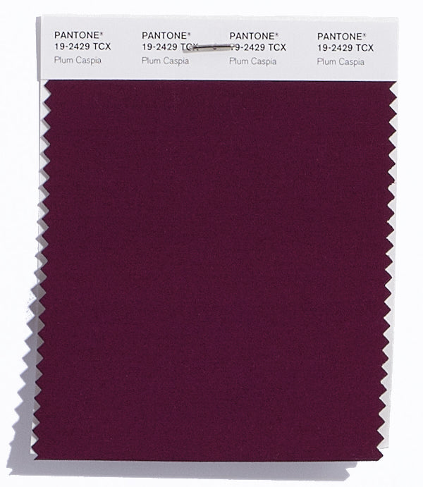 Pantone SMART Color Swatch Card 19-2429 TCX Plum Caspia - Columbia Omni ...