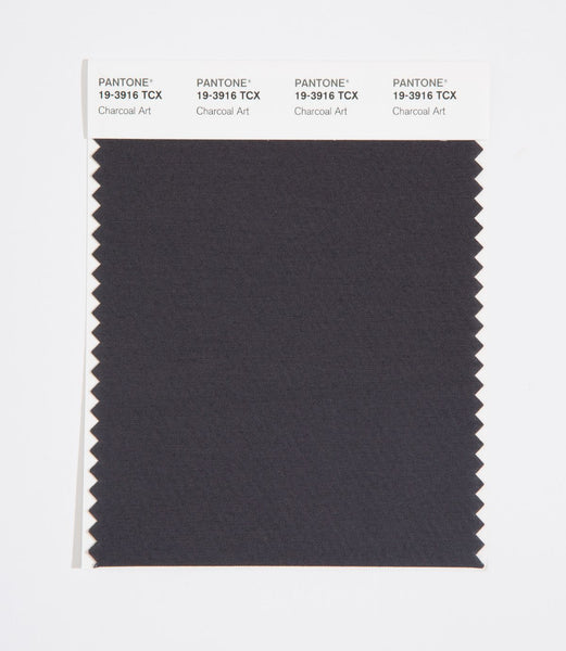 Pantone SMART Color Swatch Card 19-3916 TCX Charcoal Art - Columbia ...