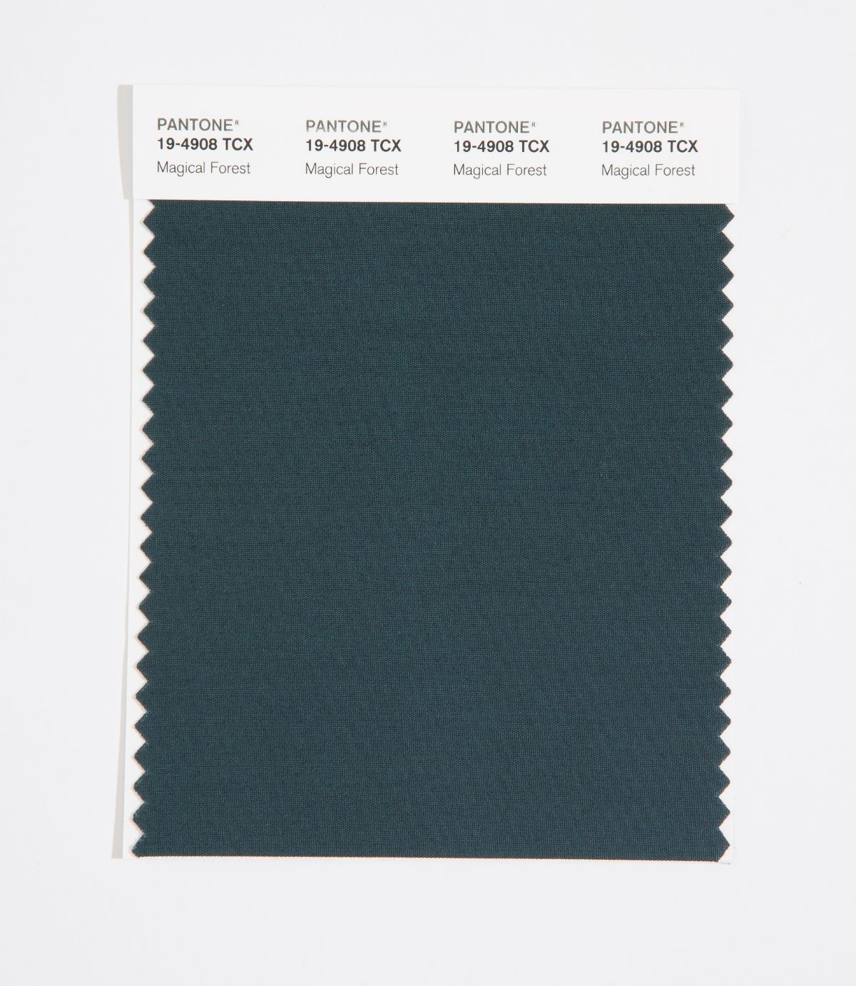 Pantone SMART Color Swatch Card 19-4908 TCX Magical Forest - Columbia ...